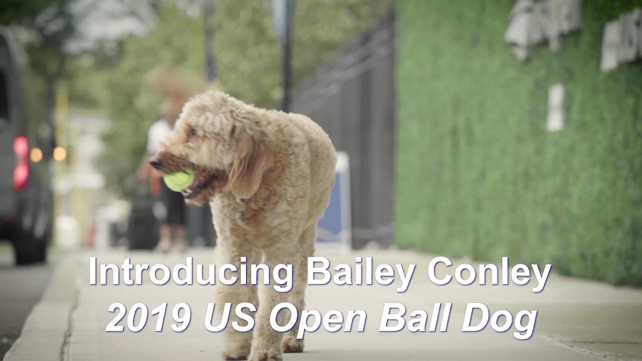 US Open introduces Ball Dogs - US Open Highlights & Features | Official ...